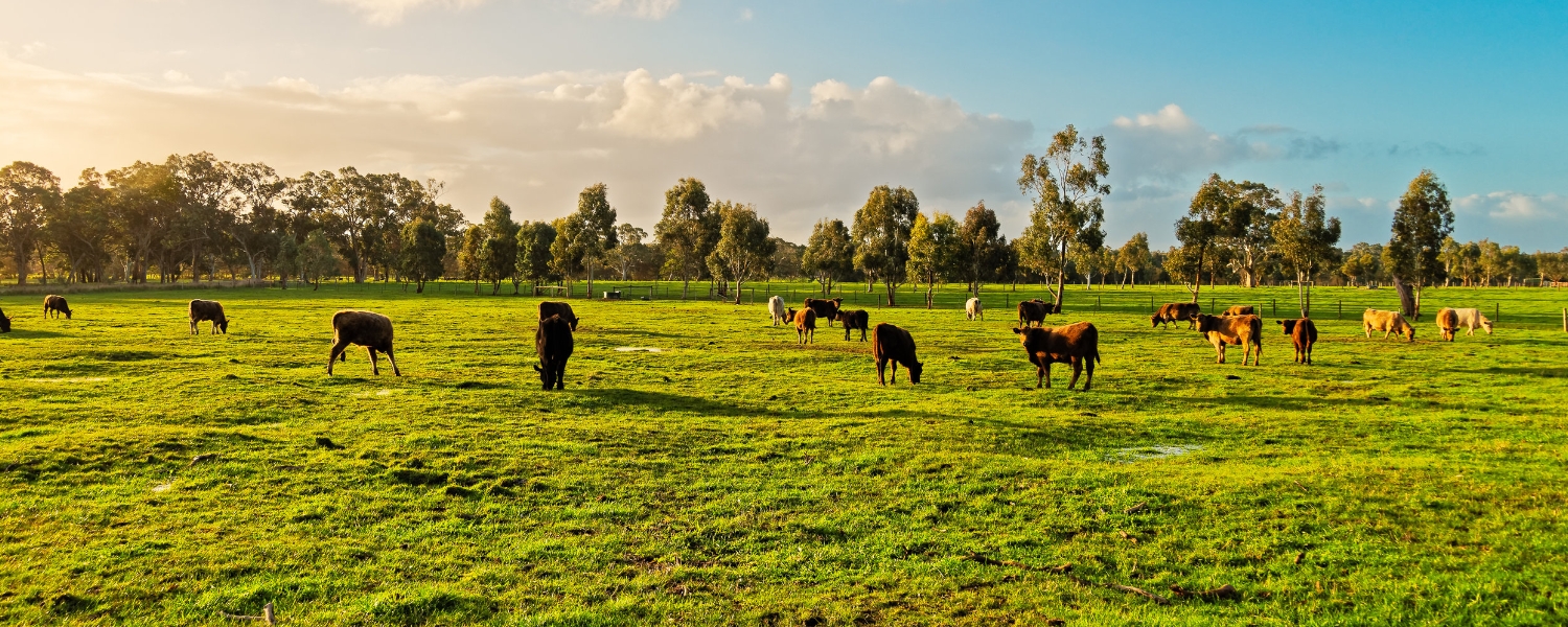 Home - Bega Retails MY